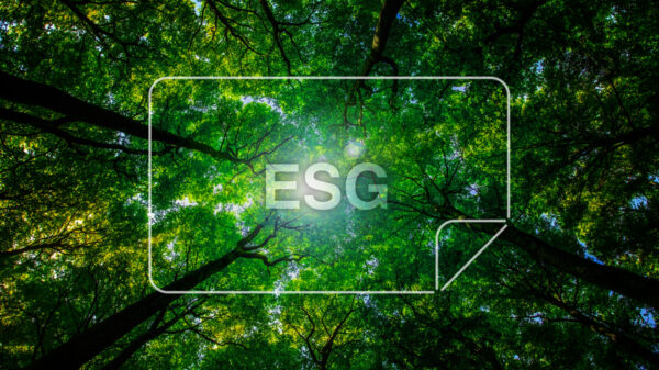 Sustainable Wireless Digital Signage | Agile Display Solutions